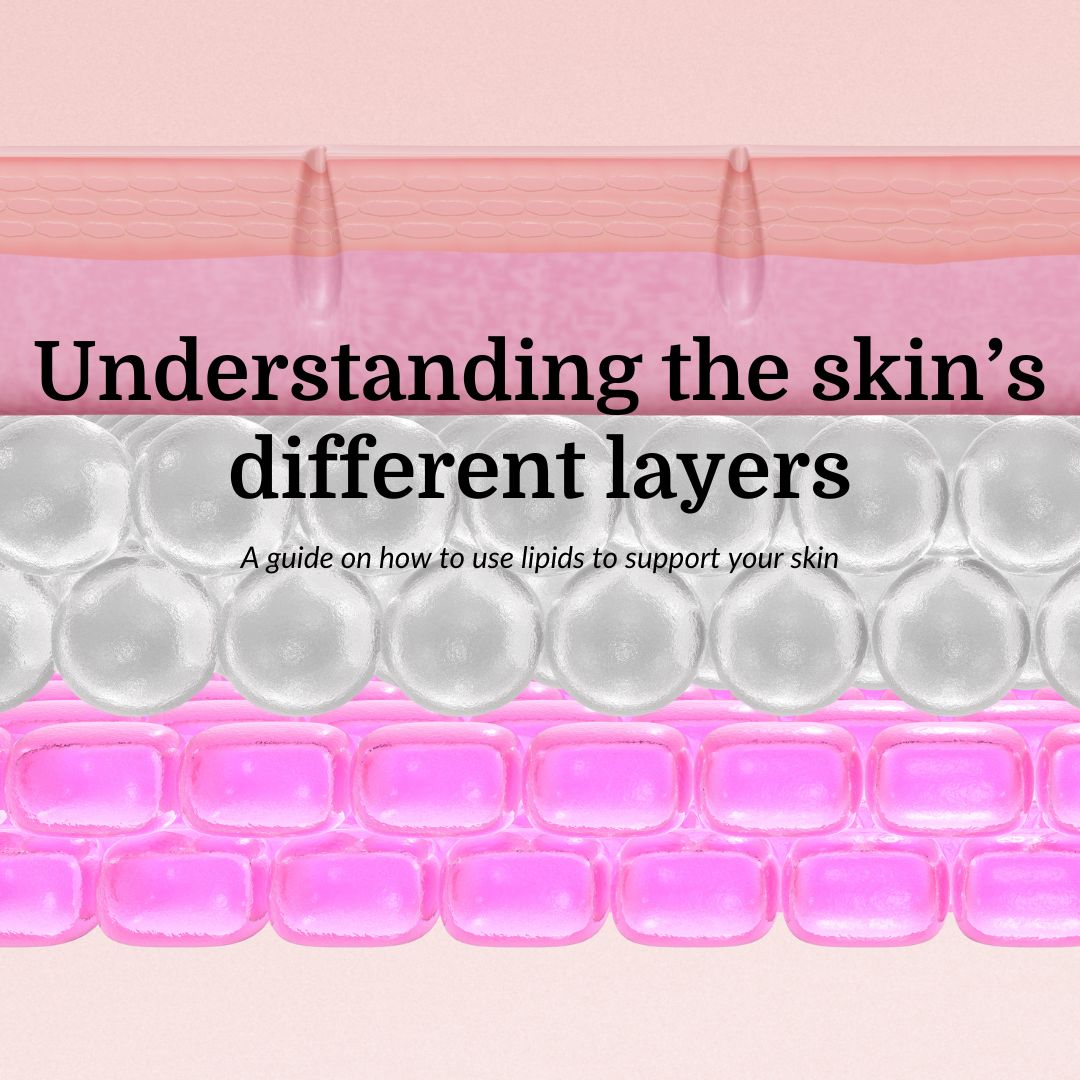 The Science Behind Lipid-Rich Formulations for Deep Skin Penetration
